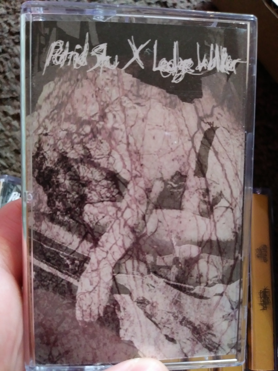 Split with Putrid Stu | Ledge Walker