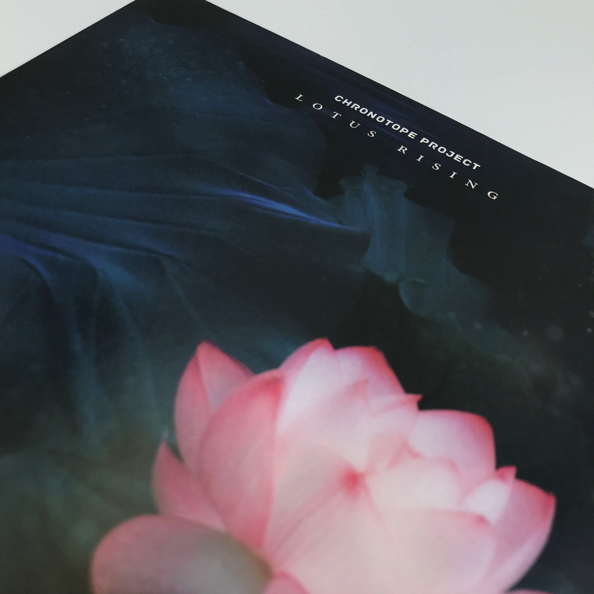 Lotus Rising | Chronotope Project