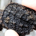 Poof | Henry Threadgill