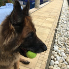 Song of Moss | Danny Wolfers | Legowelt