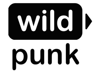 Wild Punk