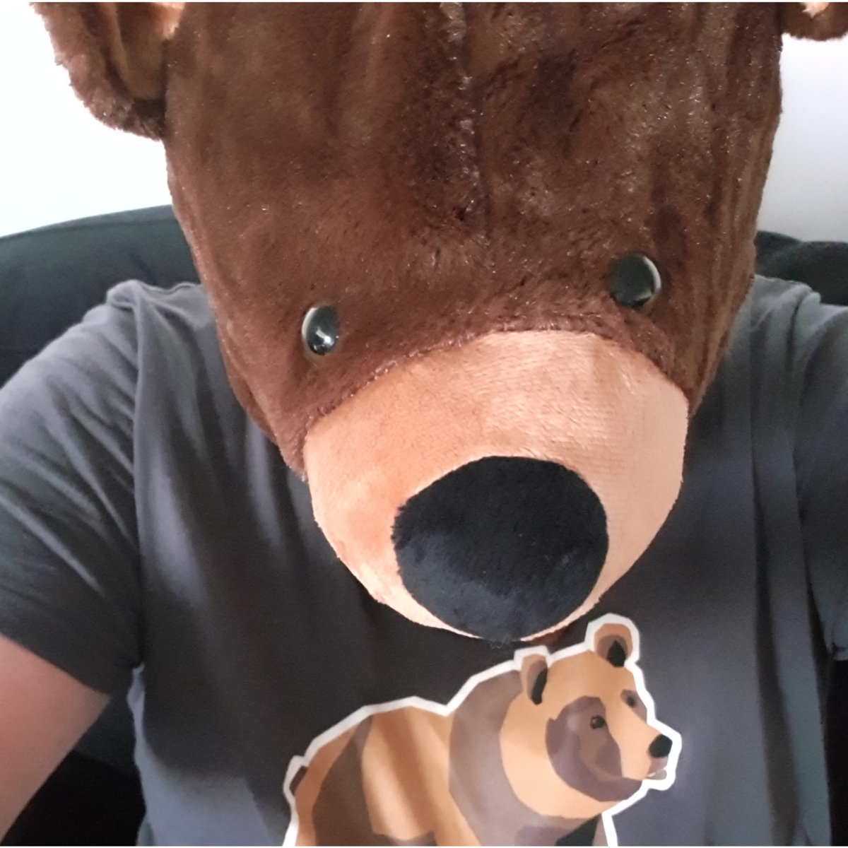The Collection - 2012 to 2017 | Bear Bazooka