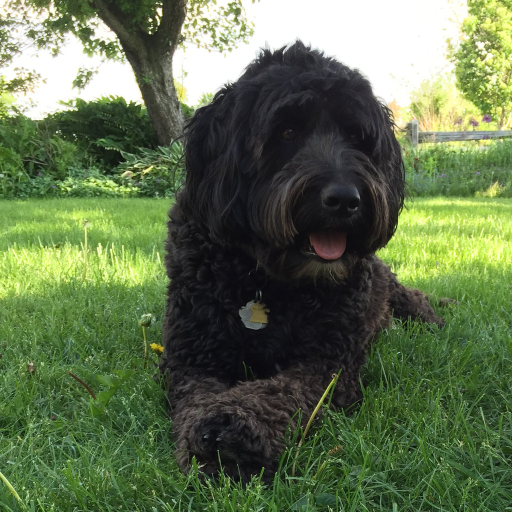 mike_molnar's collection | Bandcamp