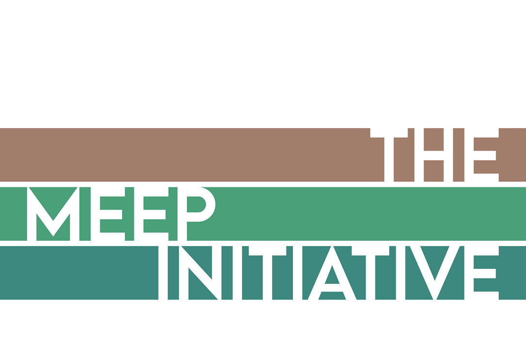 Null Space | The Meep Initiative
