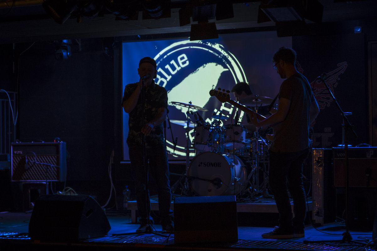 Blue Robin | Blue Robin