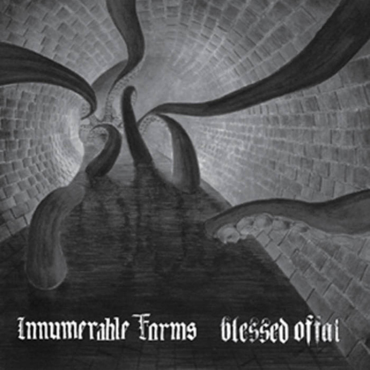 Innumerable Forms/Blessed Offal Split 12'' | Innumerable Forms