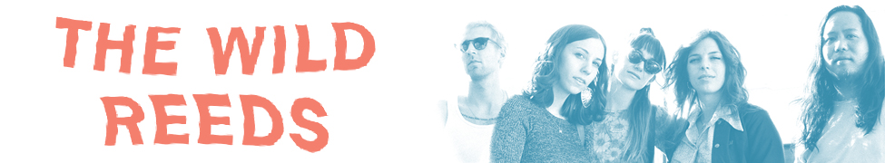 The World We Built | The Wild Reeds