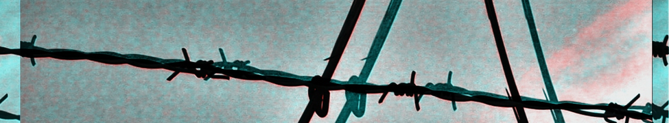 Bloom | Walter Wright // Pain Chain | Pain Chain