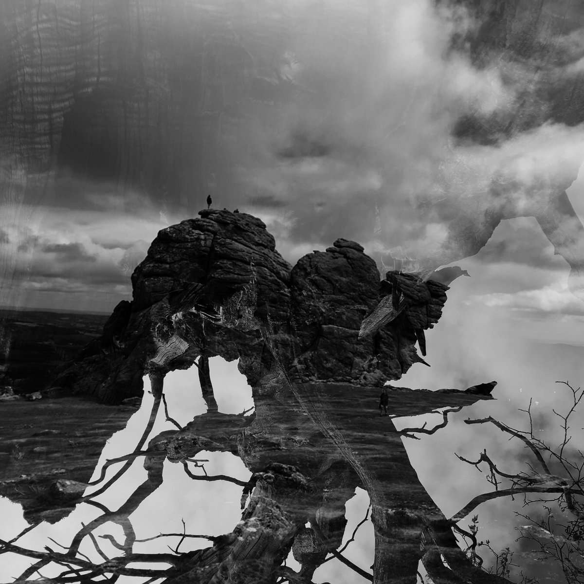 The Seventh Codex | Terrible Void