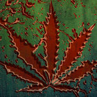 Paroxysm | Deviant Process