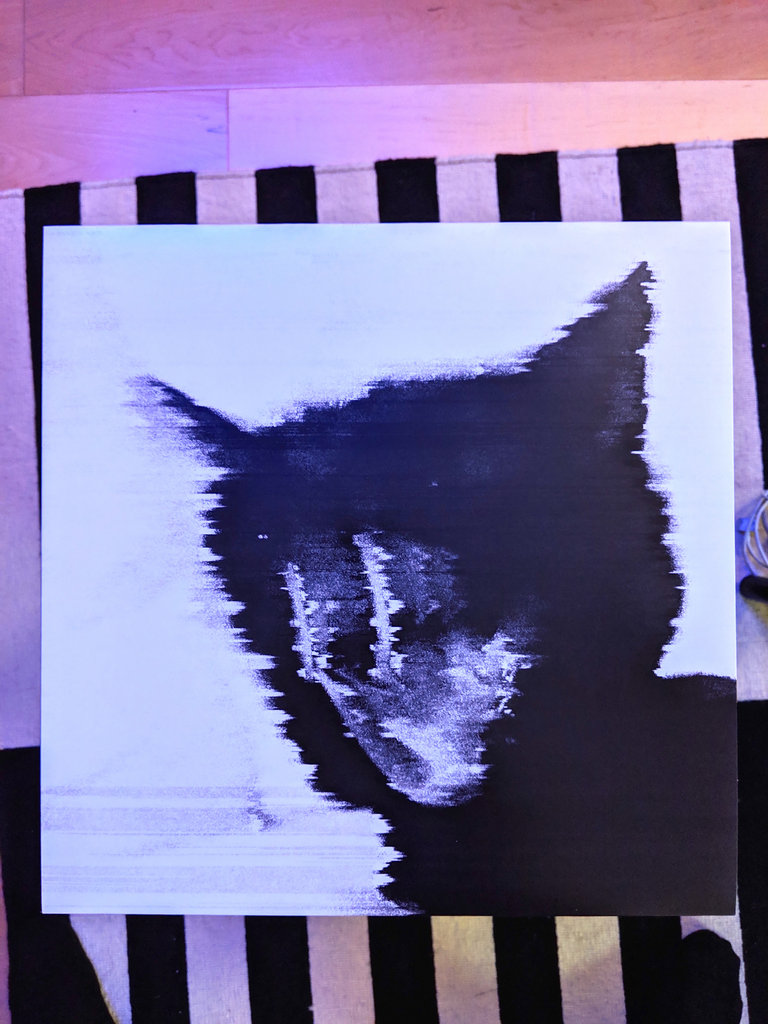 Popper Burns Preach to the Punk Rock Choir | Bandcamp Daily