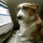 A Place I'll Always Go | Palehound