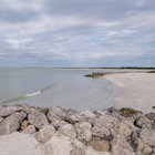 Bashed Out | This Is The Kit