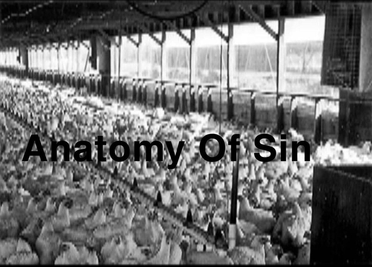 $plit $ingle w/ Wesley Huffman | Anatomy of Sin, Wesley Huffman ...