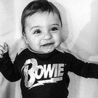 Monocyte: The Lapis Coil | Saltillo