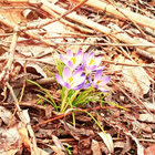 DOOM XMAS | Cookin Soul