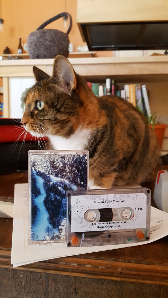 Anhedonia's Destructive Forces | Jo Bled | Histamine Tapes