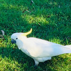 If We Ever (Remixes) | High Contrast