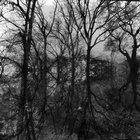 The Ghost Of Each Room | cEvin Key