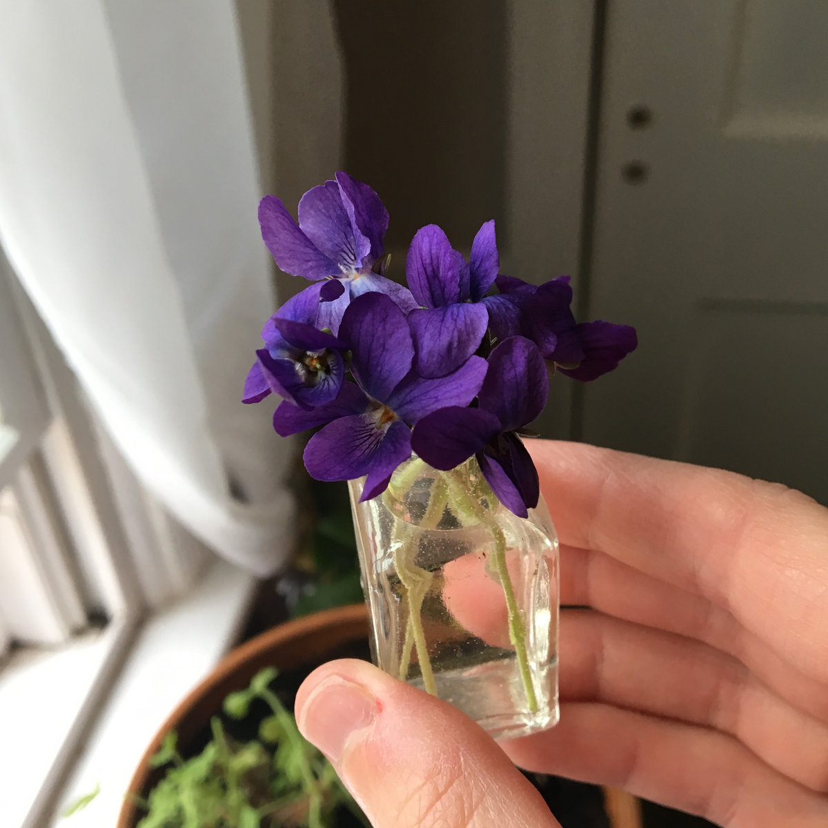 A Hymn to God the Father | Devon Kelly