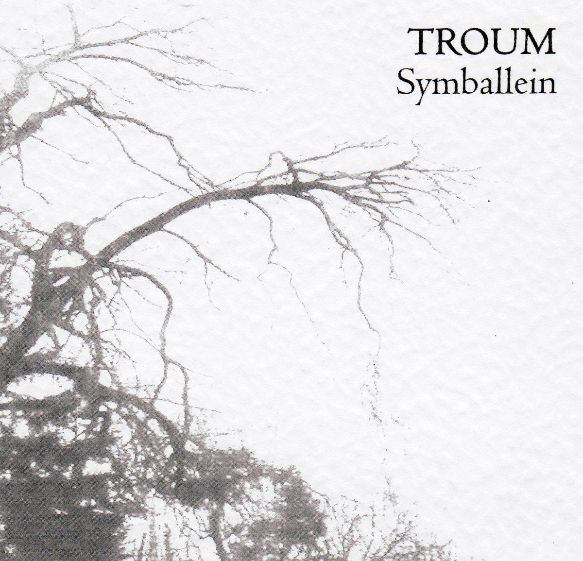 Symballein (CD, 2007) | TROUM