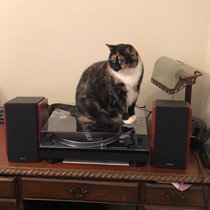 socrates_johnson's collection | Bandcamp