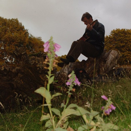 clay pigeons: demos | nicholas hamnett | Nick Hamnett
