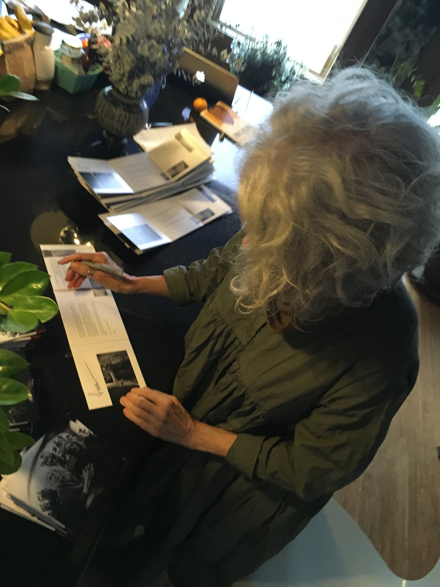 Vanishing | Fides Krucker & Tim Motzer | Tim Motzer / 1k Recordings