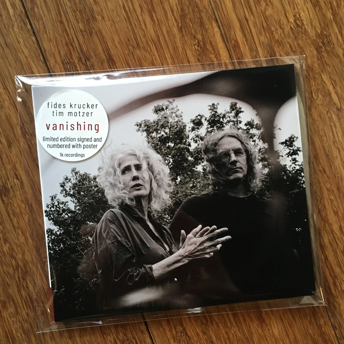 Vanishing | Fides Krucker & Tim Motzer | Tim Motzer / 1k Recordings