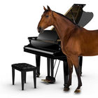 Sounds Like... | Florry