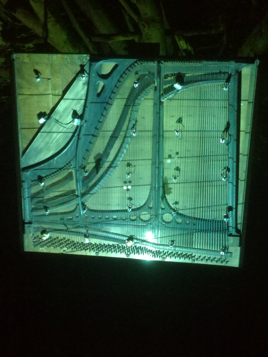 Marginalia | Autumn Response