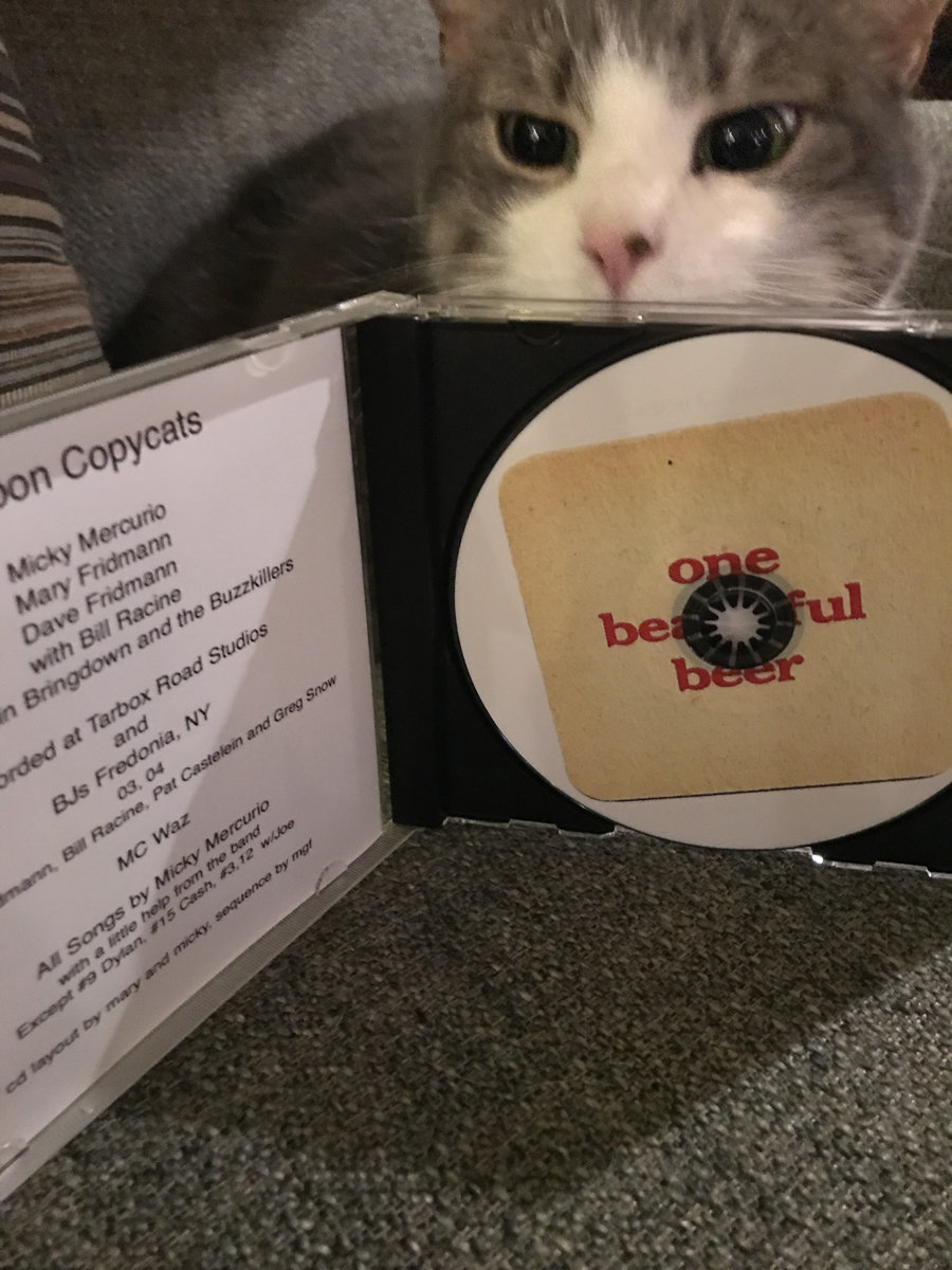 Captain Bringdown and The Buzzkillers | Carbon Copycats