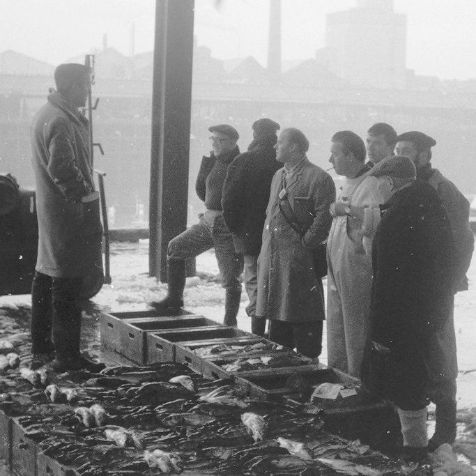 ratfactory's collection | Bandcamp