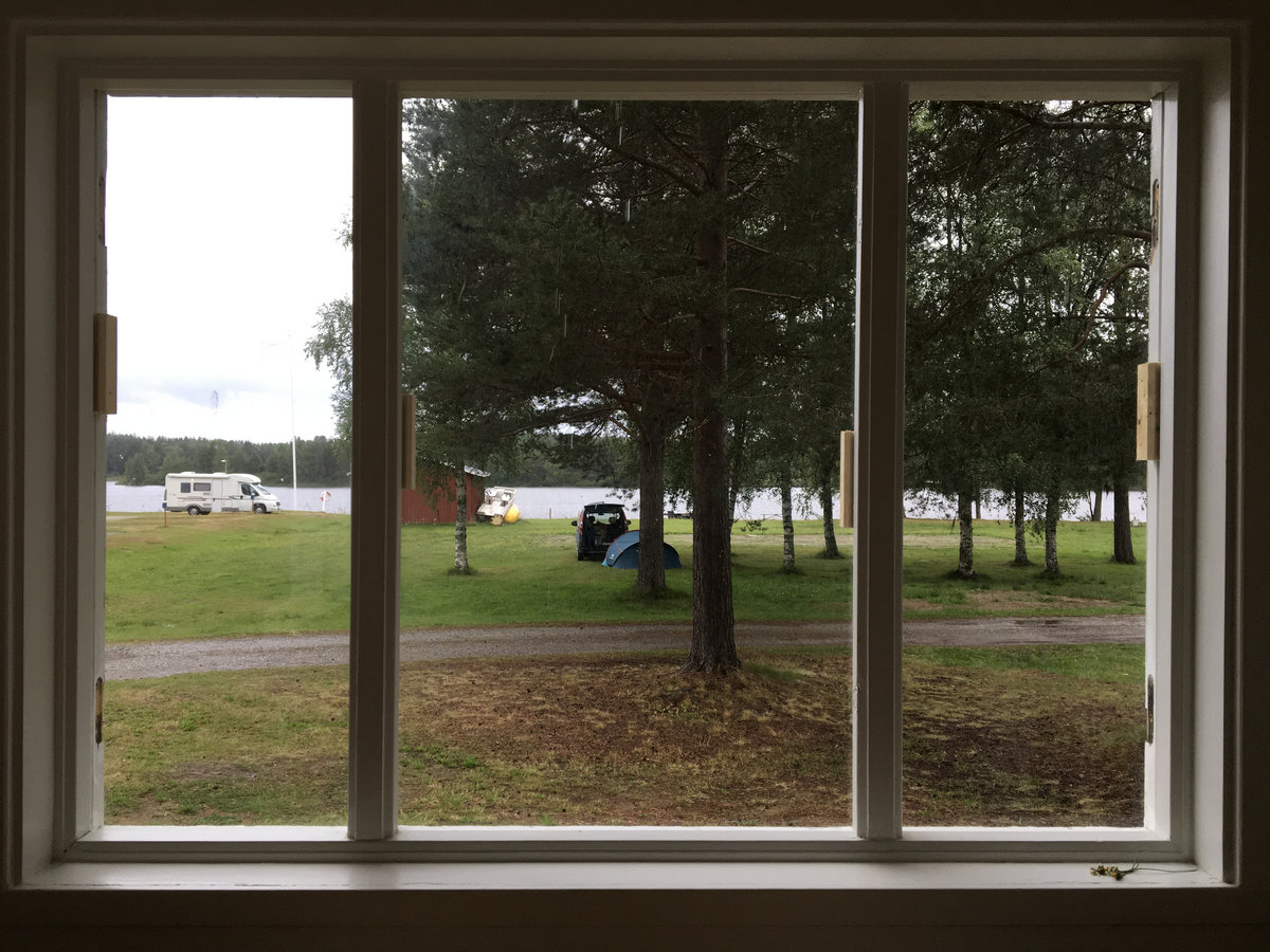 llllllllllll | 231 + FORESTEPPE | 231