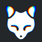 Brooklyn | Tyler Lyle