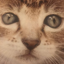 Darby BTG's Community | Darby BTG