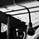 Finding Shore | Tom Rogerson with Brian Eno | Tom Rogerson