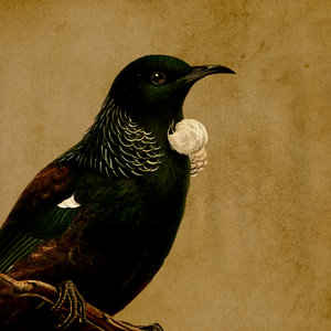 Music | Professor Dynamite