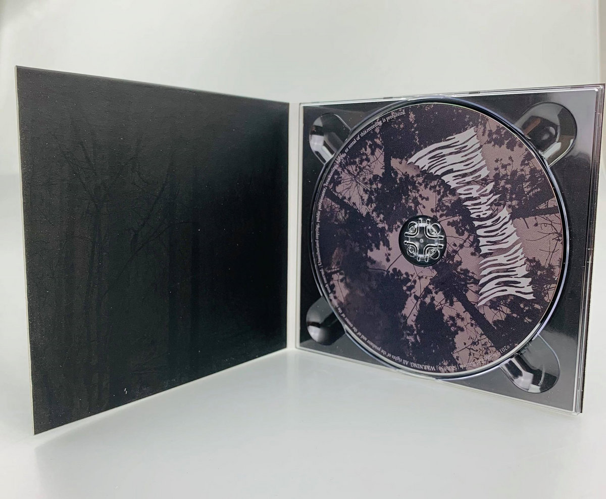 Temple Of The Fuzz Witch | Temple Of The Fuzz Witch