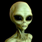 The Omega Point | Various Artists | Neogoa