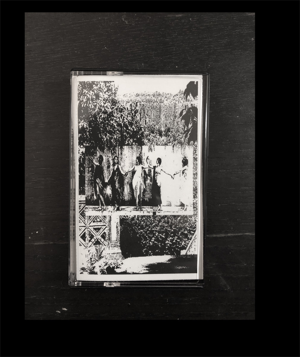 SELF TITLED | FLESH CAGE | Seed Spiller Syndicate