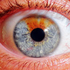 The Ghost Of Each Room | cEvin Key