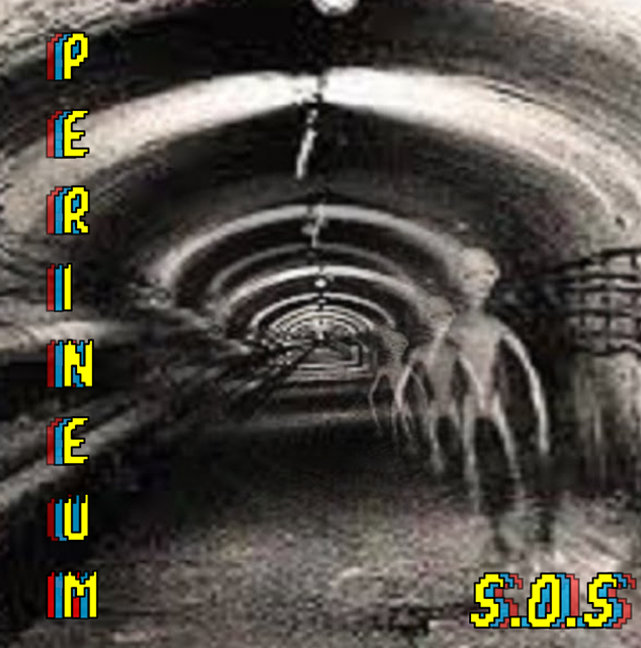 Bernstein | Perineum