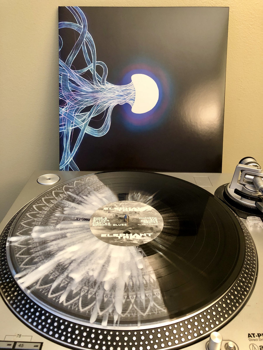 Elephant Tree | Elephant Tree