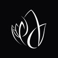 Music | Innocent Music
