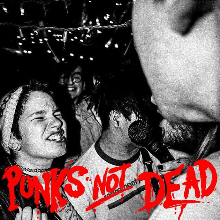 garbage_gracie's collection | Bandcamp