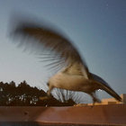 Weightless (Ambient Transmissions Vol 2) | Marconi Union