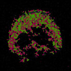 BURN PYGMALION!!! A Better Guide to Romance | the scary jokes