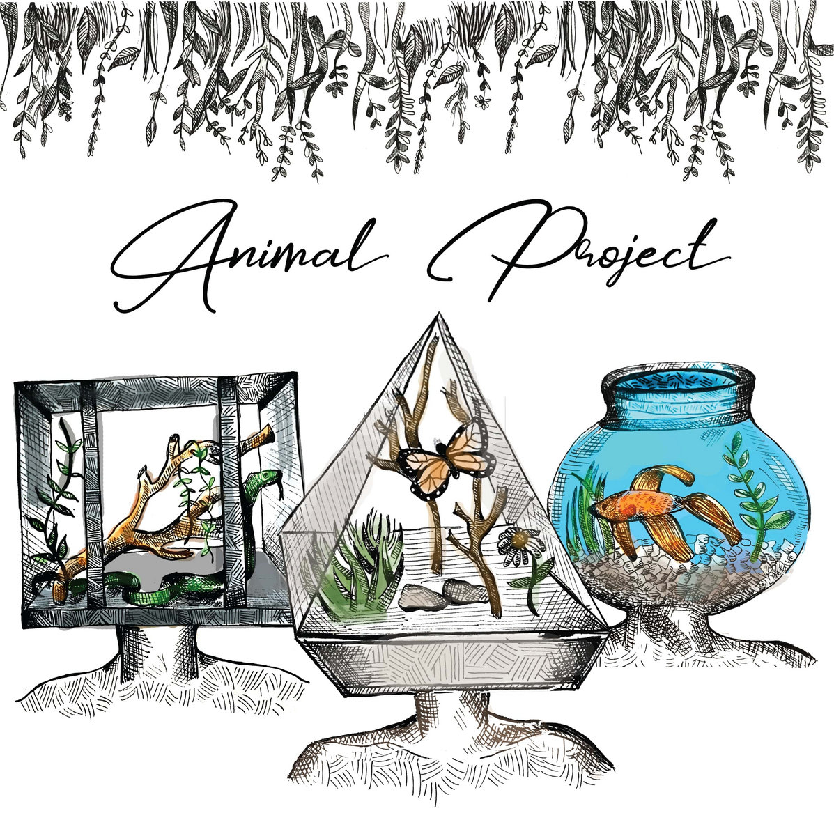 Animal Project | Animal Project