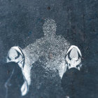 TUNIC (Original Game Soundtrack) | Lifeformed × Janice Kwan | Lifeformed